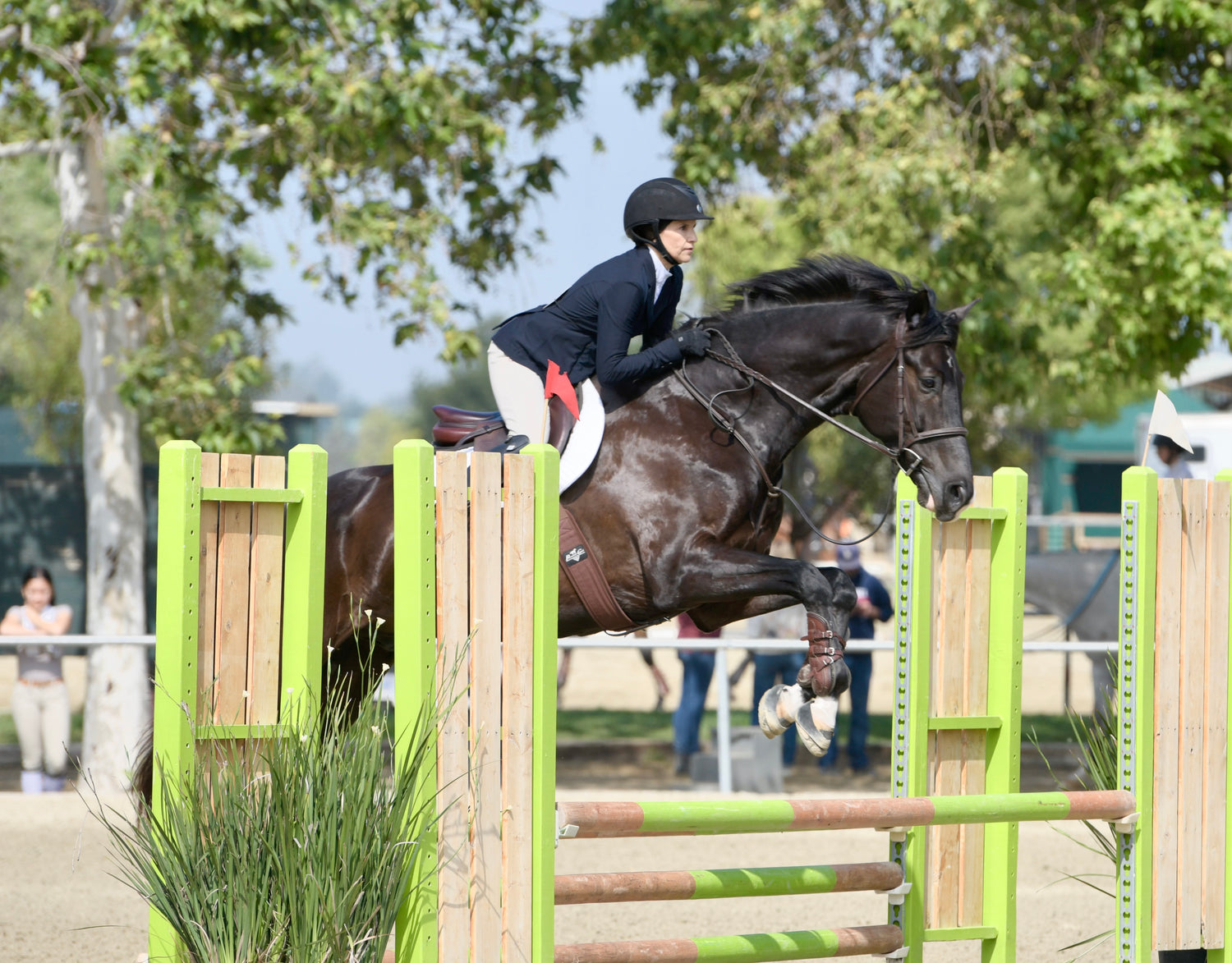 My Story – The Gilded Paddock