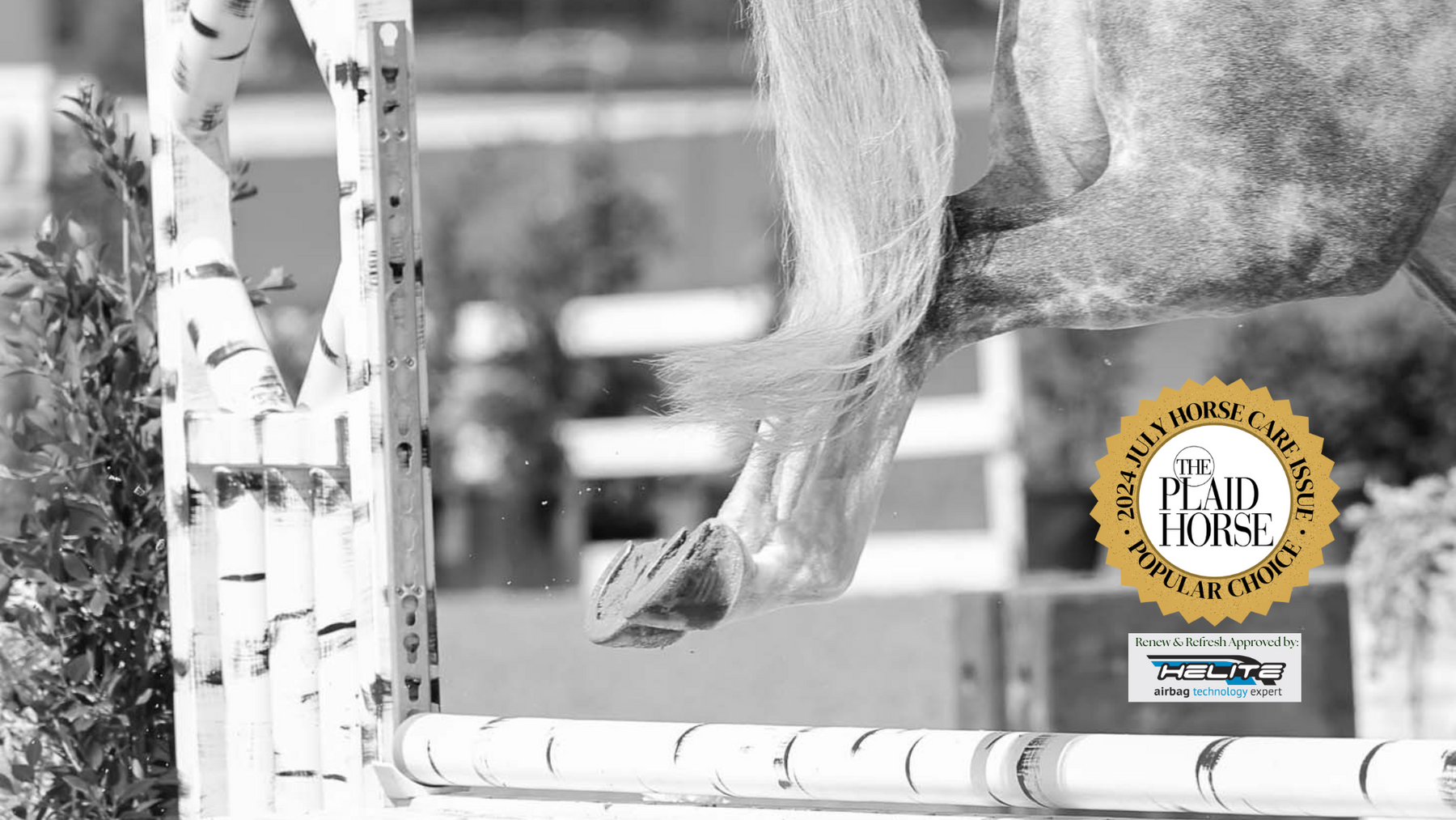 Natural Horse Grooming & Care Products for a Healthy Coat, Mane & Tail ...