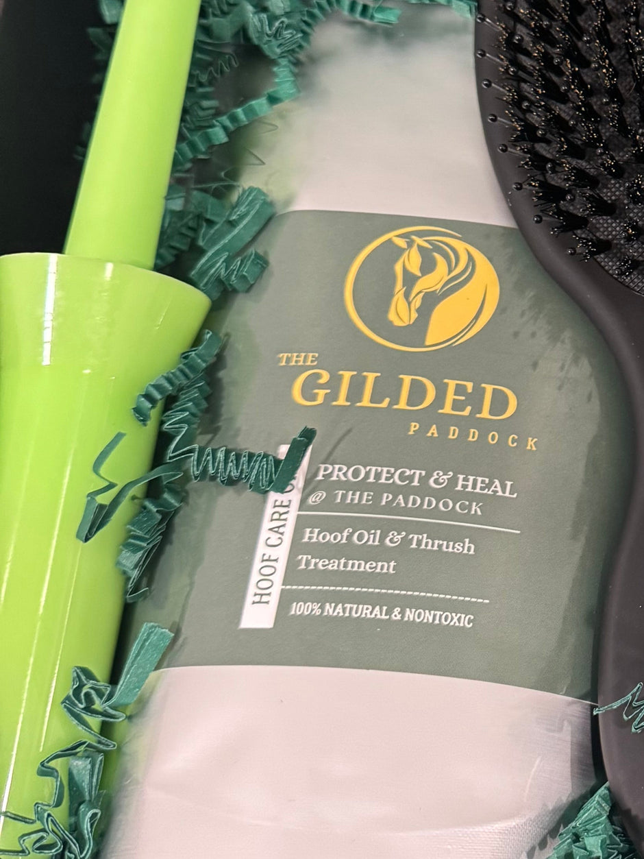 ECO-FRIENDLY REFILLS – The Gilded Paddock