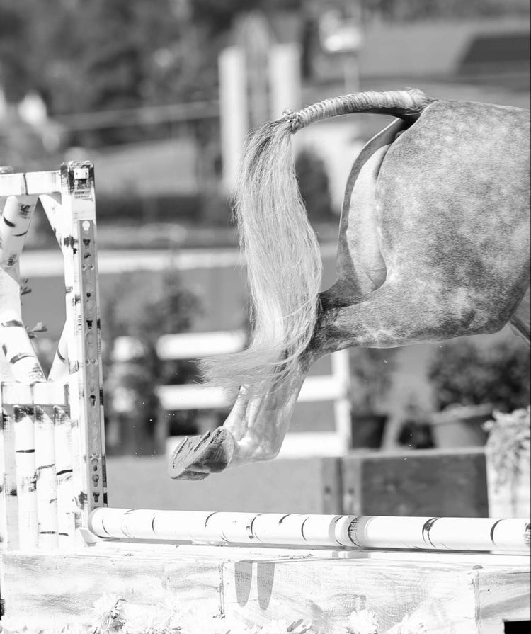 Natural Horse Grooming & Care Products for a Healthy Coat, Mane & Tail ...